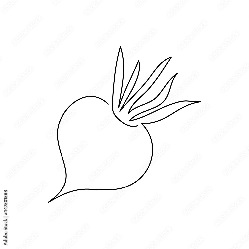 Beet continuous line drawing. One line art of root, plant, vegetable ...