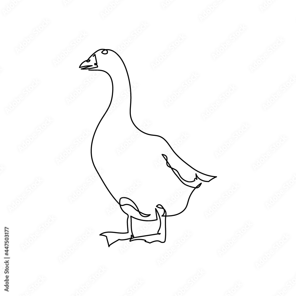 Duck one line art. Continuous line drawing of poultry, domestic animal ...