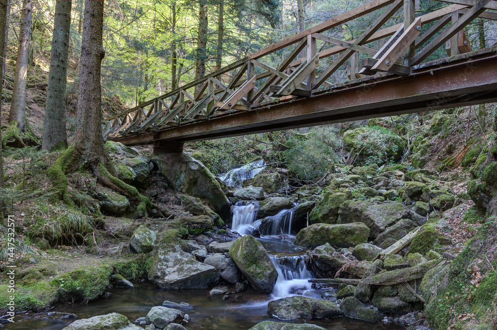 The Ravenna Gorge in the Black Forest is a narrow and steep side valley ...