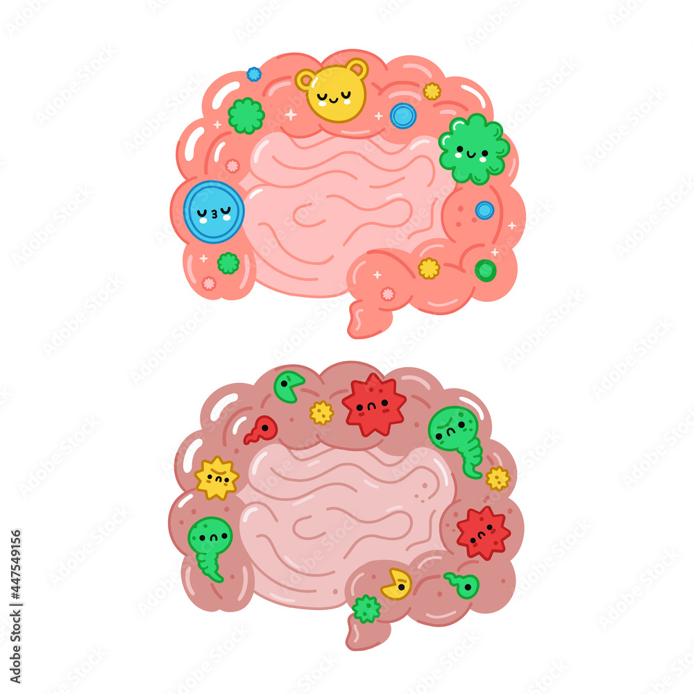 Healthy and unhealthy intestine organ with good bacterias,microflora ...