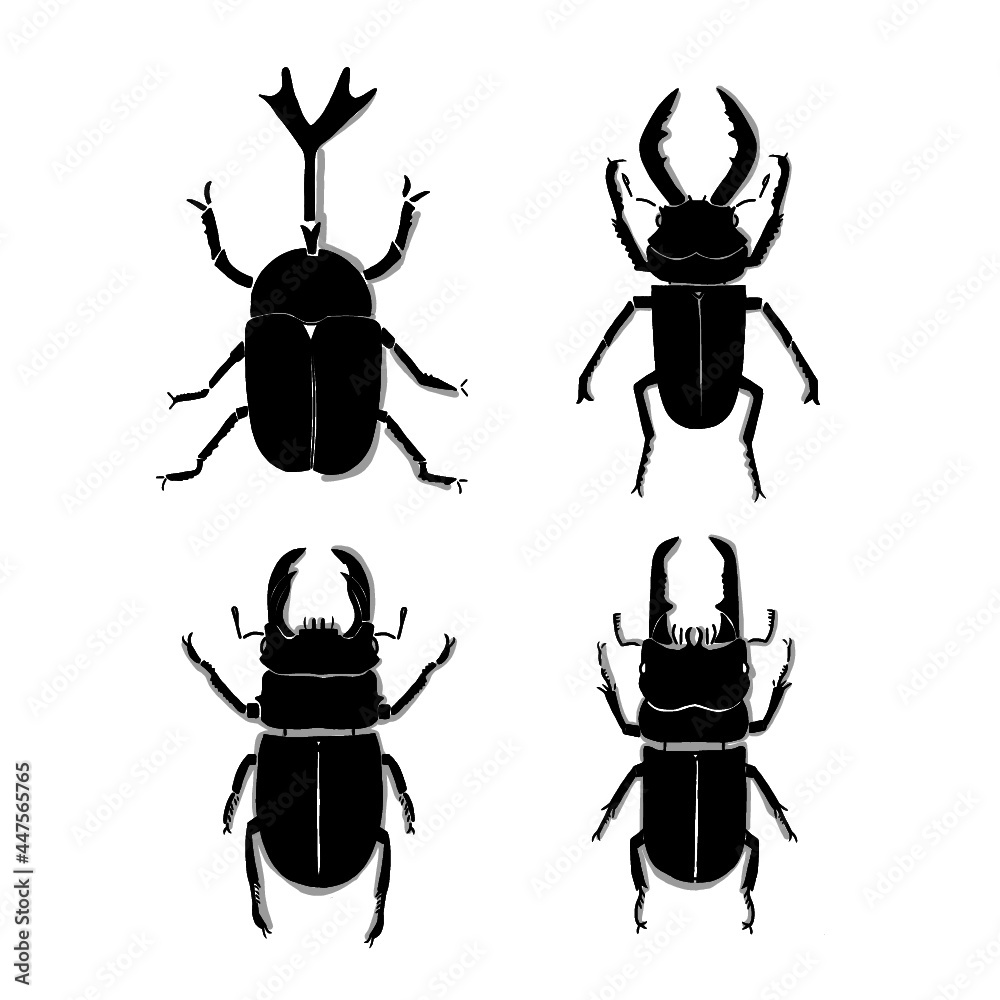 Japanese beetle illustration. Hand drawn sketch. Japanese insects and ...