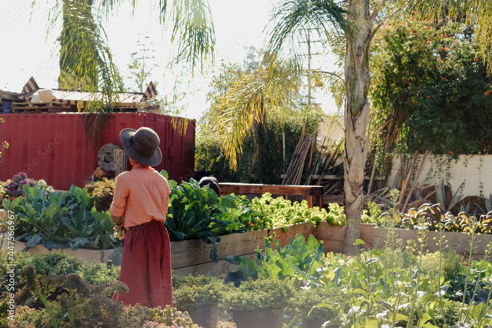 person working in the garden Stock Photo | Adobe Stock
