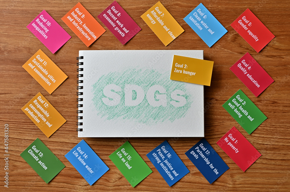 "There is card with the statement Goal 2: Zero hunger . It is one of ...