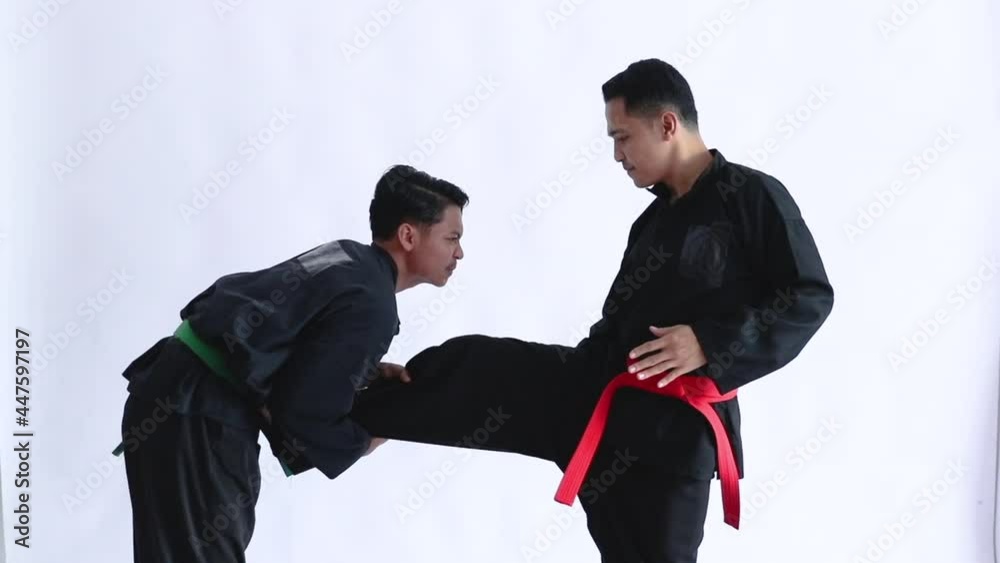 Vidéo Stock two Asian men wearing pencak silat uniforms fight with ...