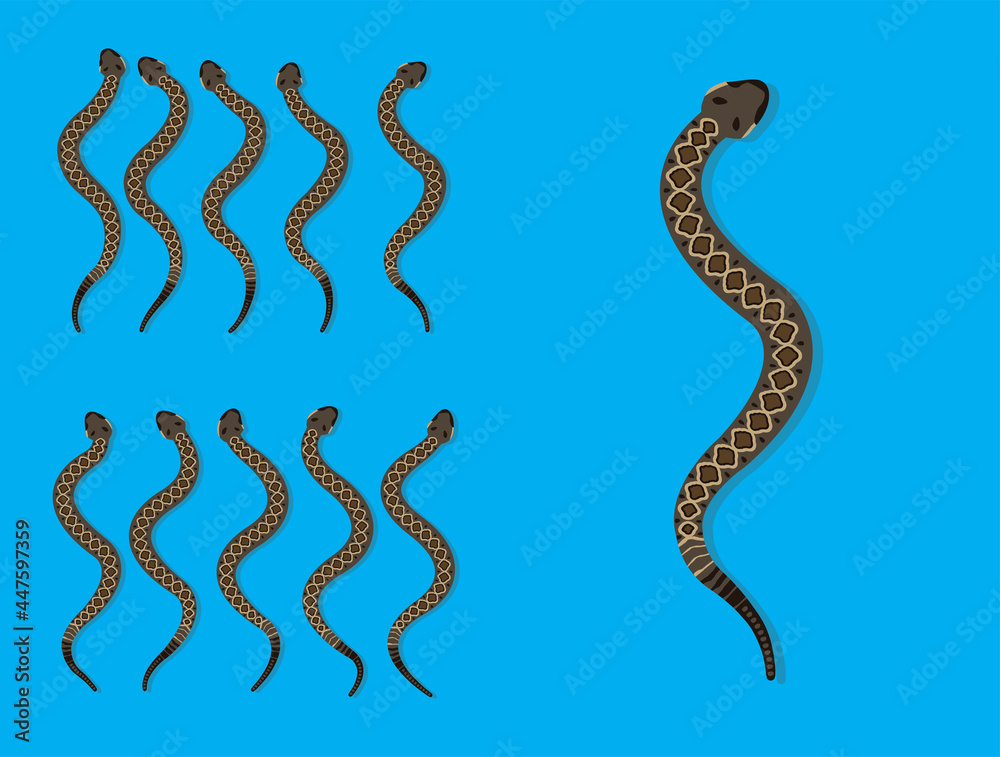 Animal Animation Sequence Eastern Diamondback Rattlesnake Cartoon ...