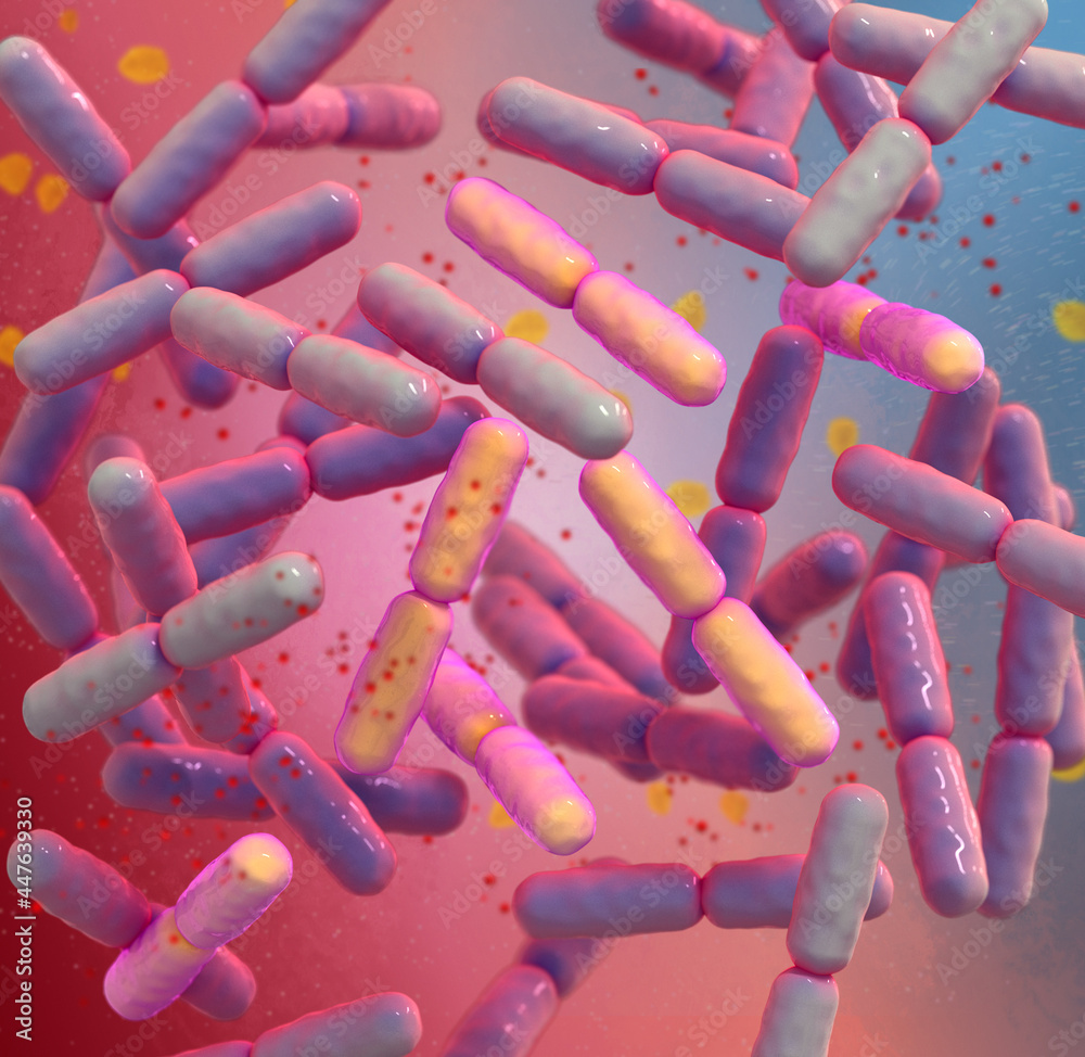 Probiotic beneficial bacteria, normal intestinal microflora ...