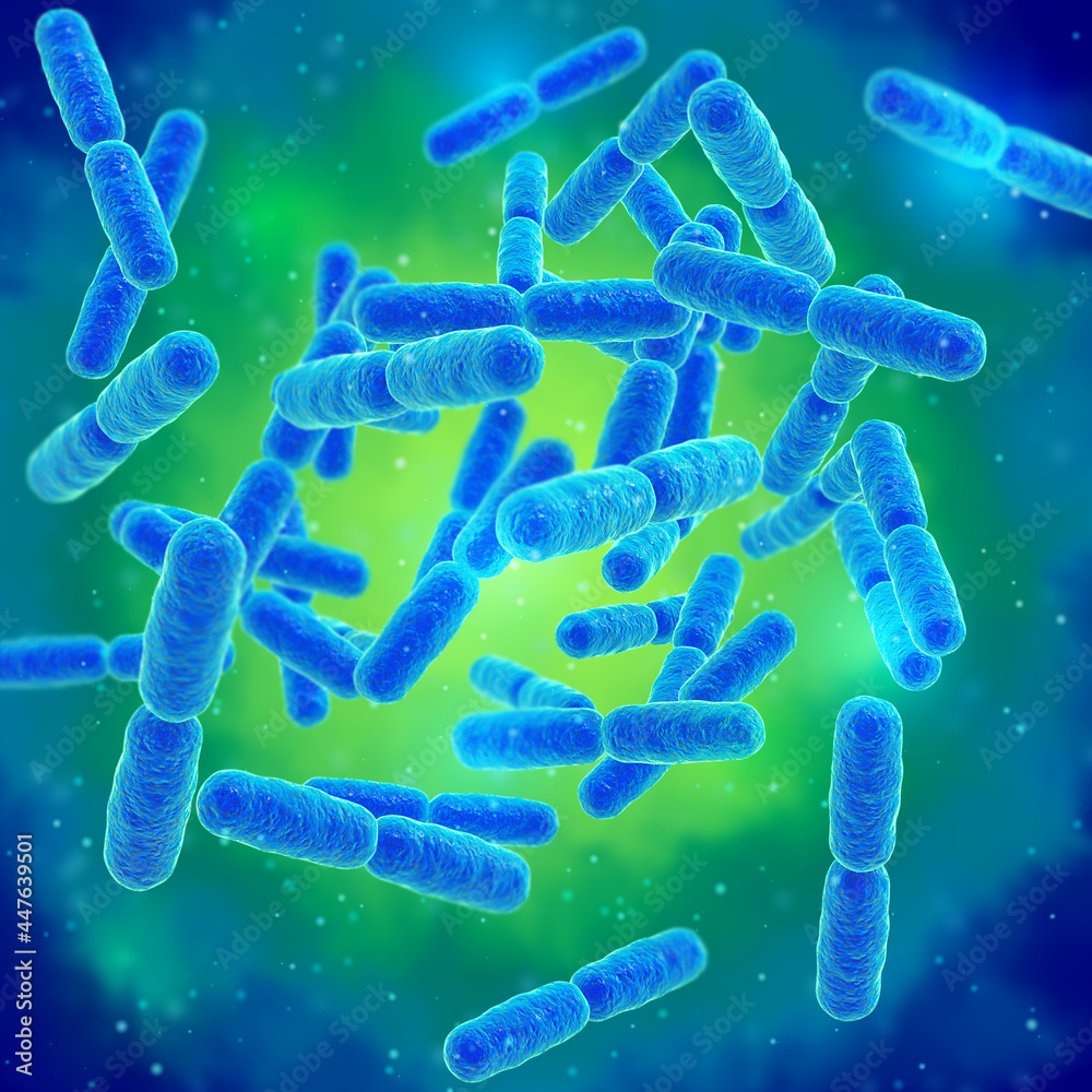Probiotic beneficial bacteria, normal intestinal microflora ...