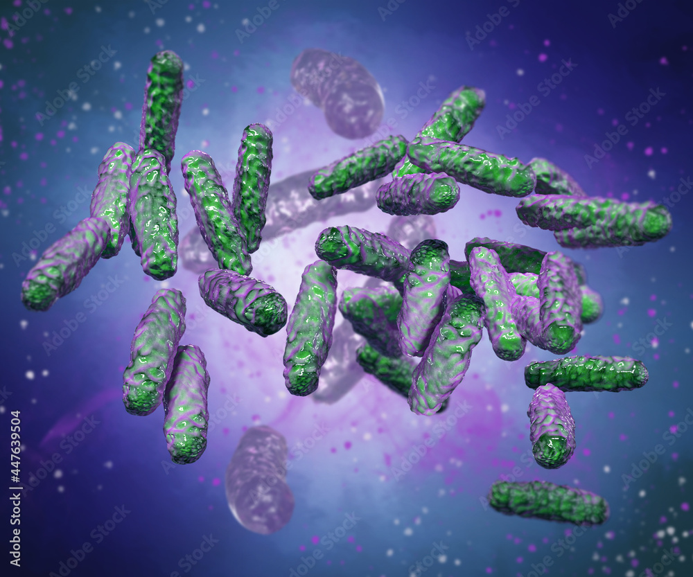 Probiotic beneficial bacteria, normal intestinal microflora ...