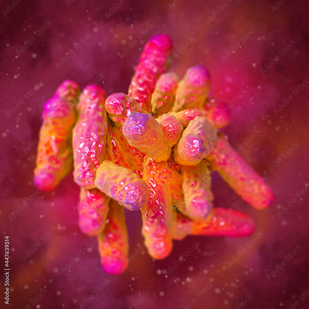Probiotic beneficial bacteria, normal intestinal microflora ...