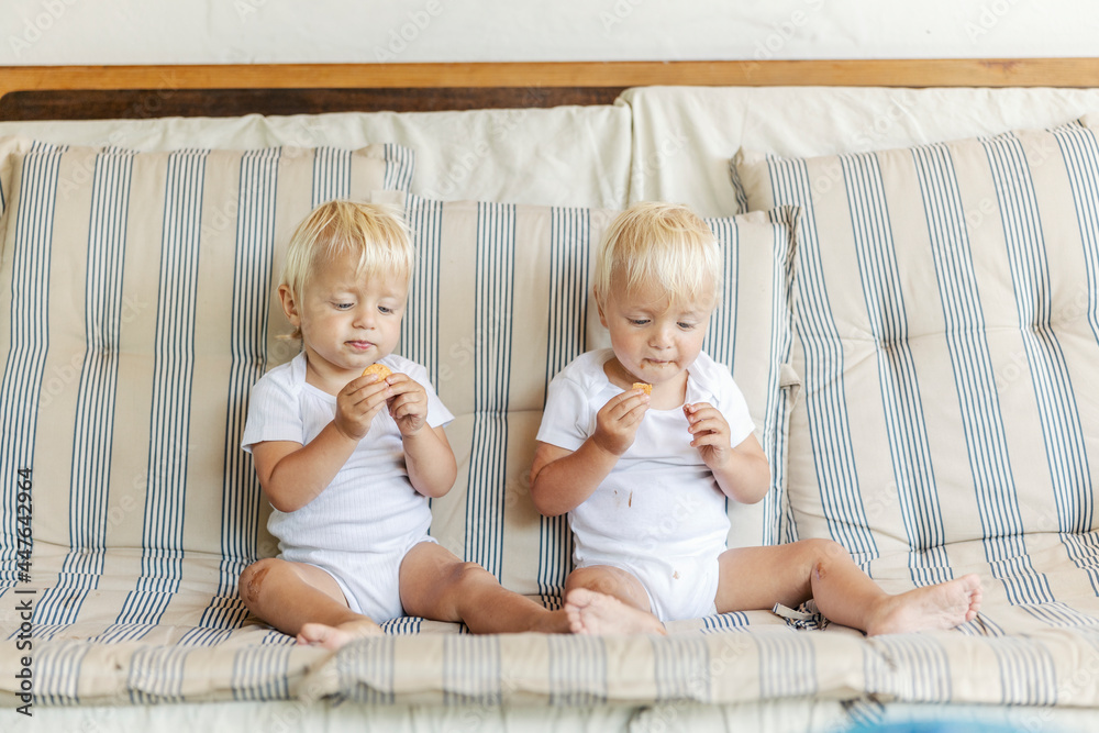 Two beautiful babies are enjoying cookies. Photo of toddler twins with ...