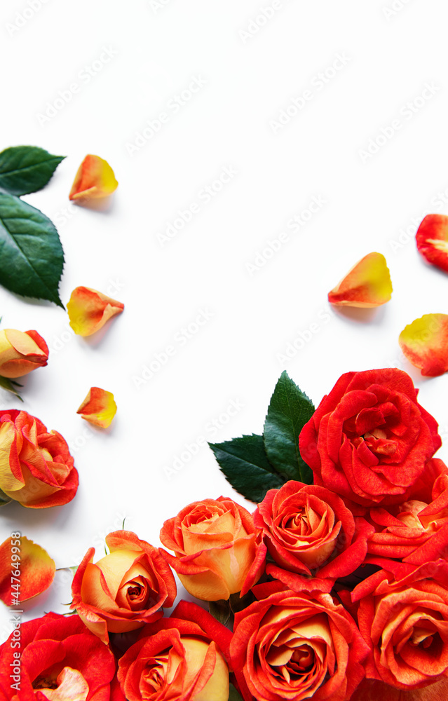 Flowers composition. Frame made of red roses and leaves on white ...