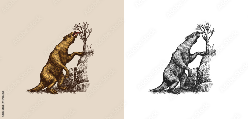 Ground sloth or Megatheriidae. Prehistoric mammals. Extinct animal ...