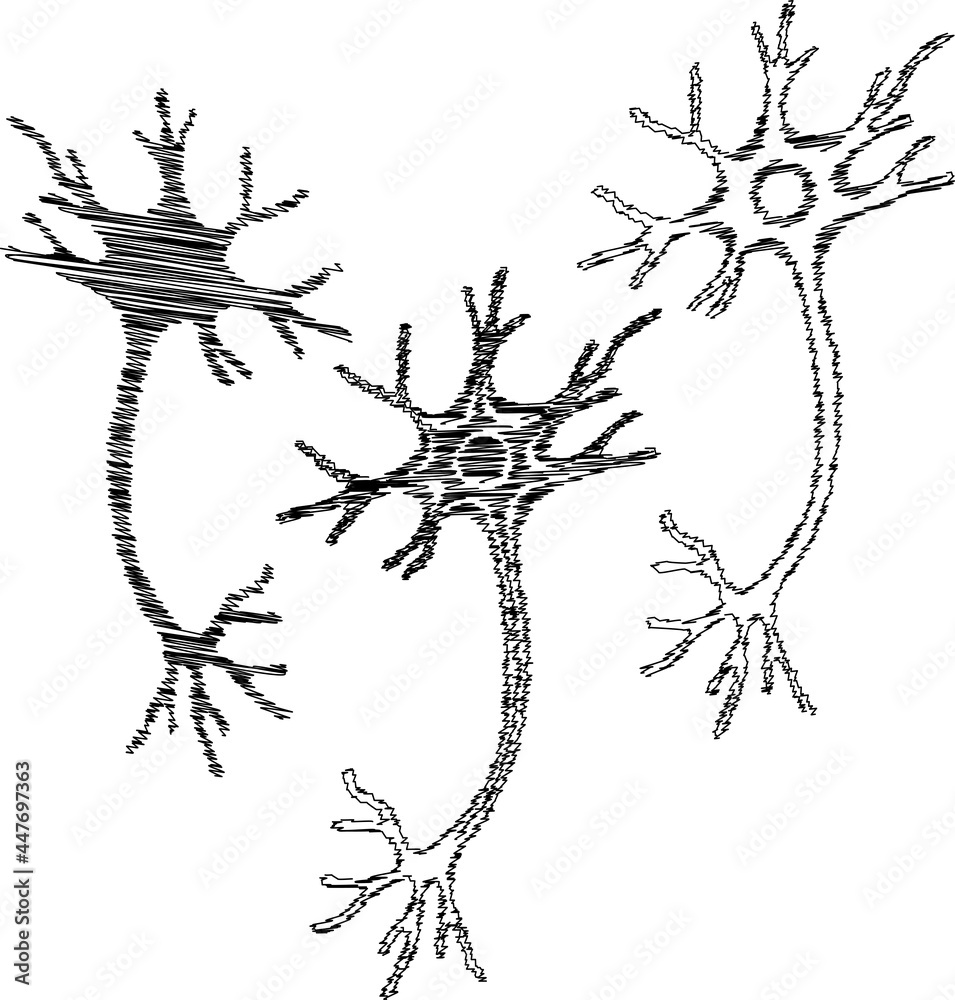 Vector contour doodle drawings of silhouettes abstract neurons cells ...