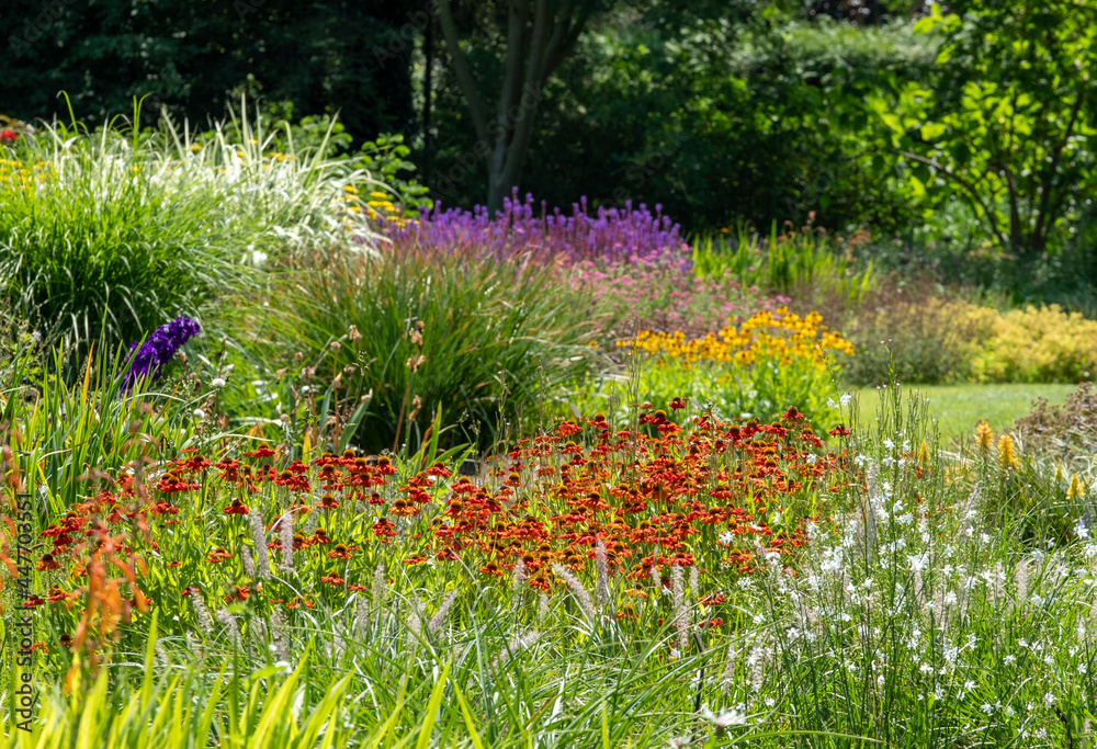 Colourful garden planted in the naturalistic style of the New Perennial ...