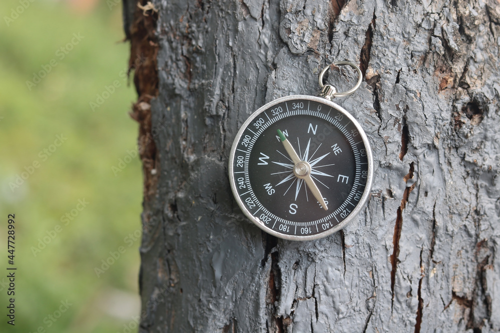 Classic navigation compass on natural background as symbol of tourism ...