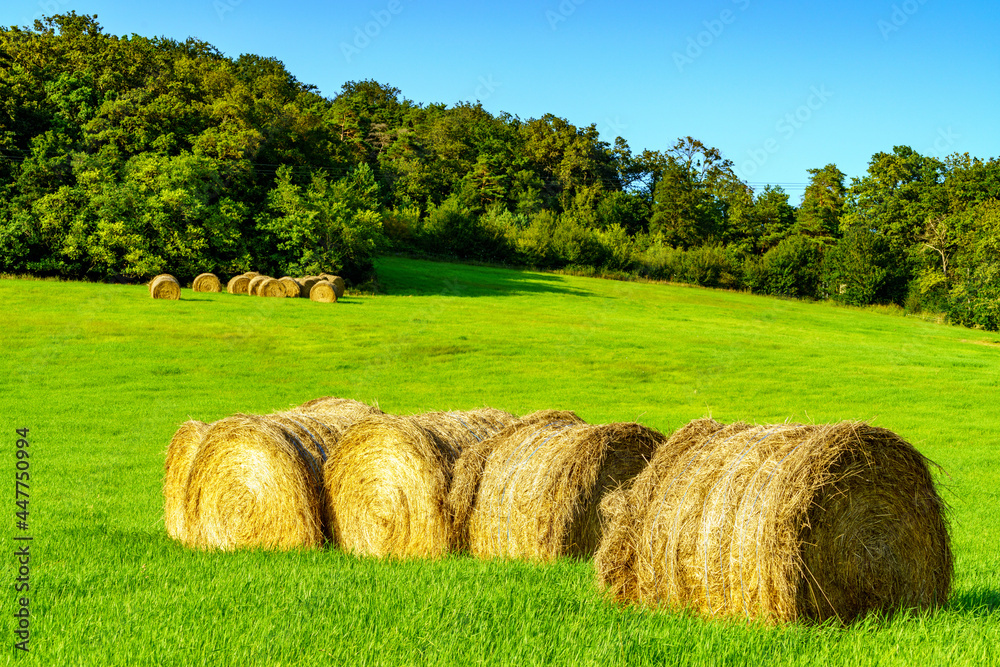 Paysage campagne 986 Stock Photo | Adobe Stock
