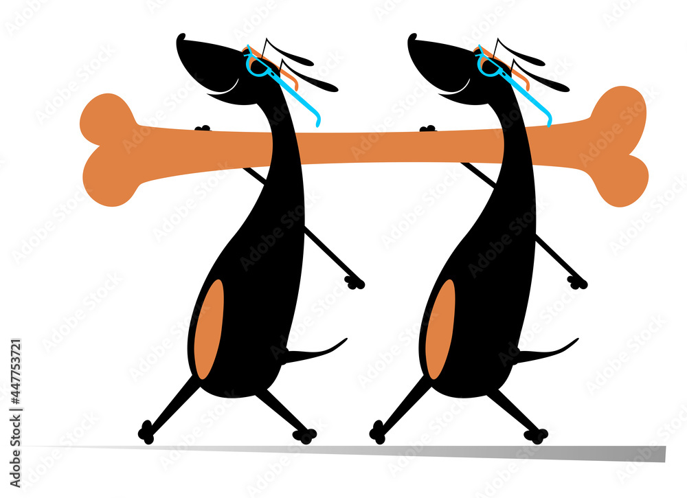 Two dogs carry a big bone concept illustration. Two smiling dachshunds ...