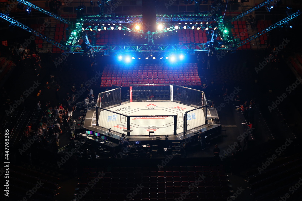 Ufc Octagon Empty