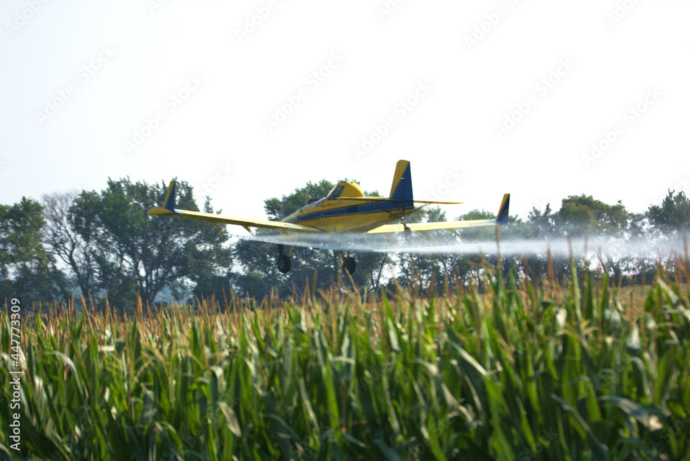 Low flying Crop Duster applying insecticide to the corn fields Stock ...