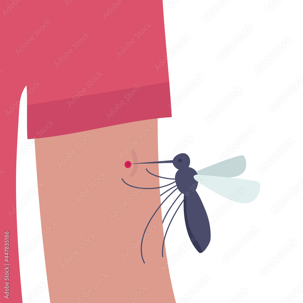 Mosquito bite on skin hand human. isolated on white. Vector ...