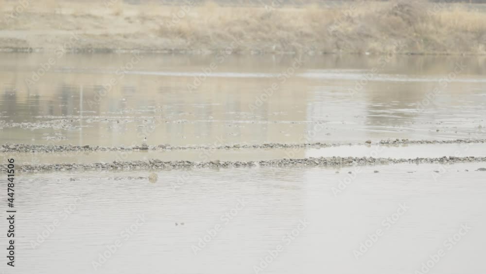 Urban deluge disaster recovery construction, amphibious vehicle ...