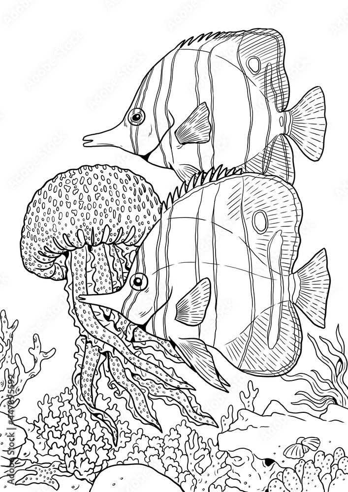 Tropical marine butterflyfish and Jellyfish in the aquarium and in ...