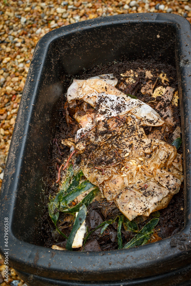 Foto de Composting pile of rotting kitchen fruits and vegetable scraps ...