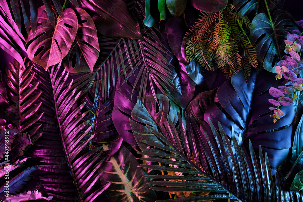 Tropical dark trend jungle in neon illuminated lighting for background ...