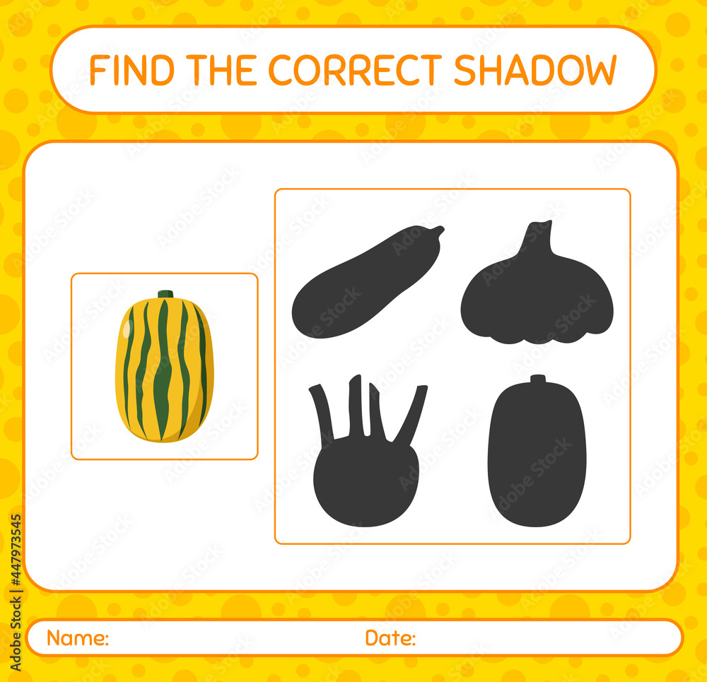 Find the correct shadows game with delicata squash. worksheet for ...