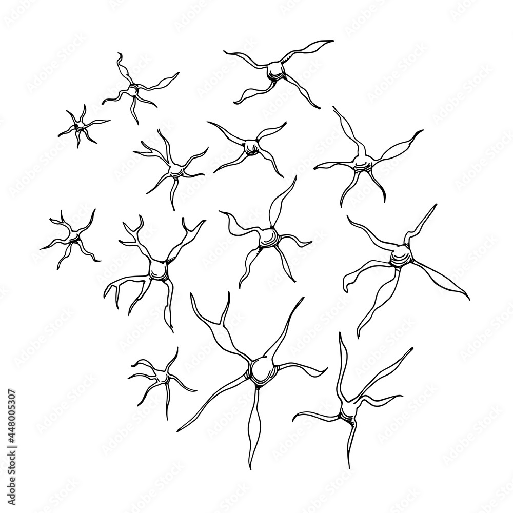 a set of neurons, brain cells, microscopic bodies, vector illustration ...