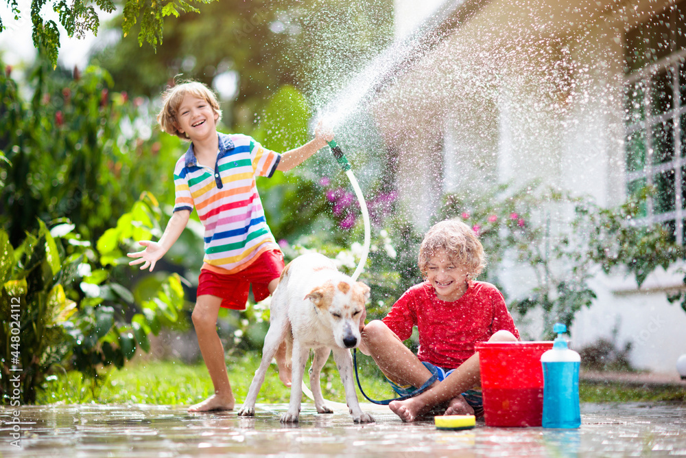 Kids wash dog in summer garden. Water hose fun. Stock Photo | Adobe Stock