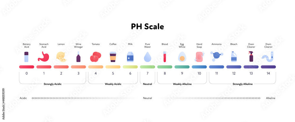 Ph scale infographic. Vector flat healthcare illustration. Color meter ...
