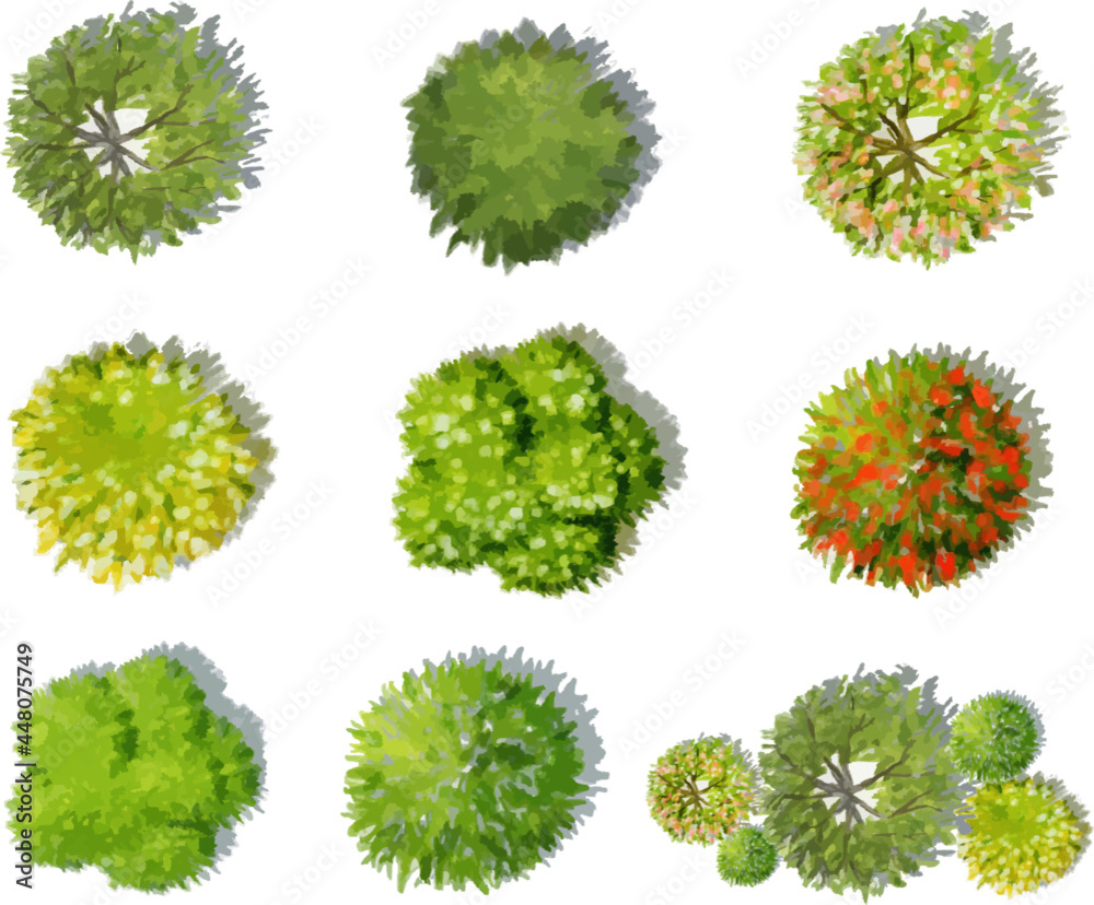 Vector of abstract watercolor tree top view isolated on white ...