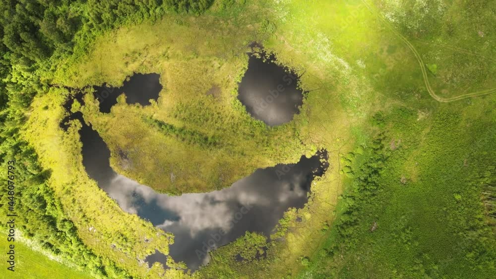 A sly smile on an unusual lake, like a face, a bird's-eye view, beauty ...