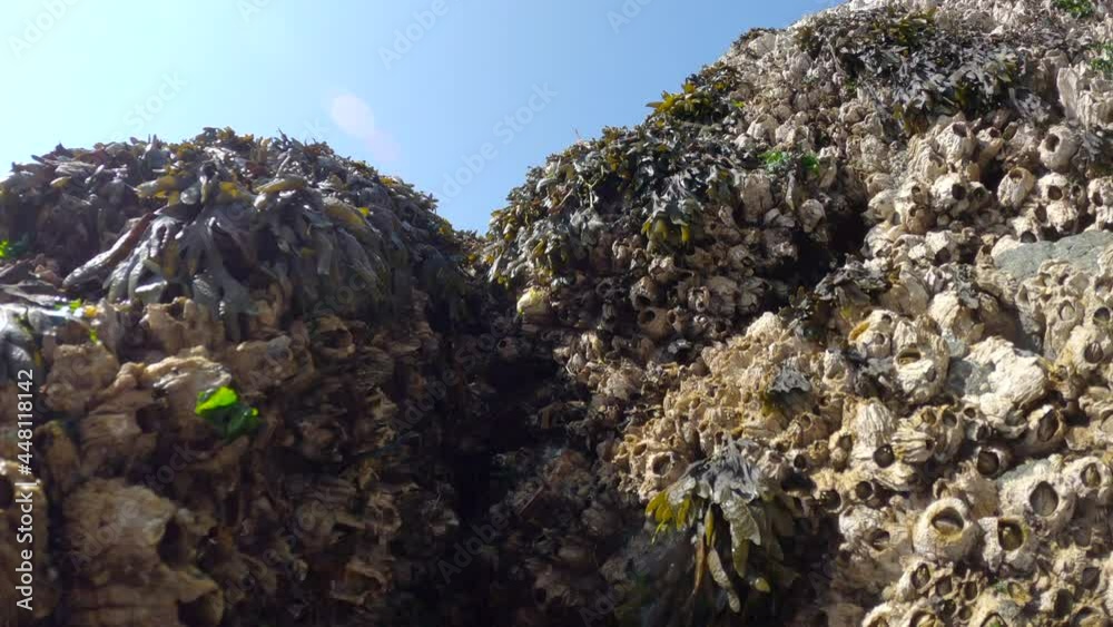 Fisgard Lighthouse Barnacle Rocks 4K UHD. Historic Fisgard Lighthouse ...