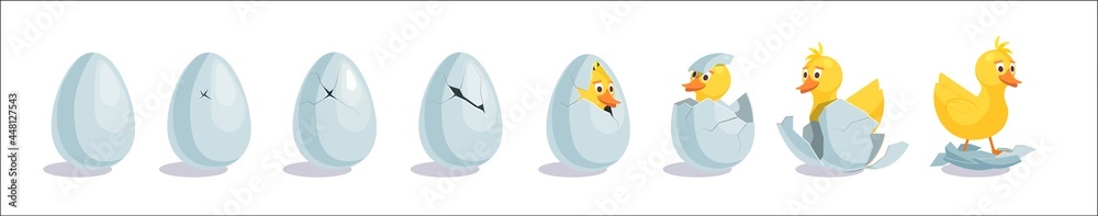 Cartoon duckling domestic bird hatching from egg set. Cute little ...