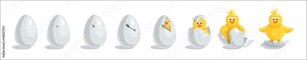 Chicken baby hatching from egg breaking white shell set. Step-by-step ...