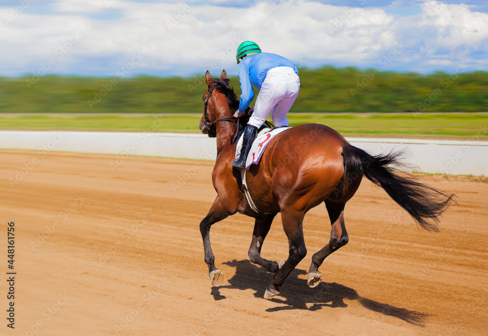 Galloping race horse in racing competition. Jockey on racing horse ...