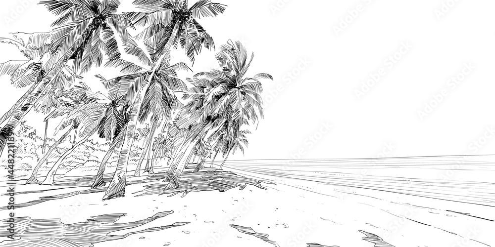 Maldive island sketch. Beautiful tropical sea shore. Resort. Sandy ...