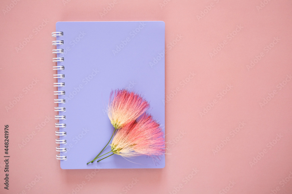 Purple notebook cover and fluffy pink flowers Lankaran acacia on a pink ...