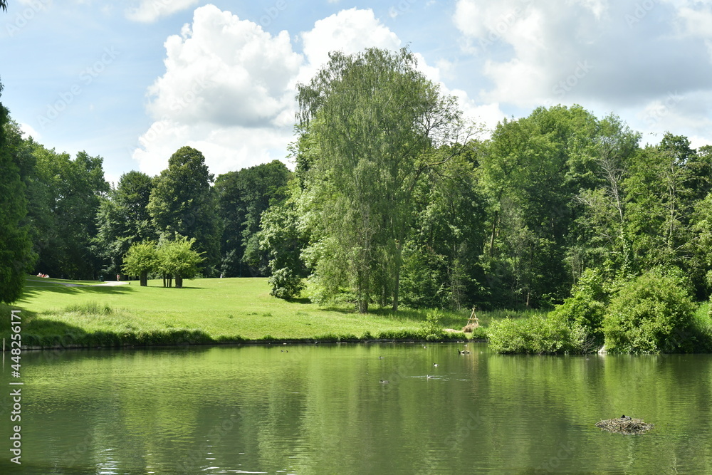 Pelouses et bois autour du petit étang au parc de Woluwe à Woluwe-St ...