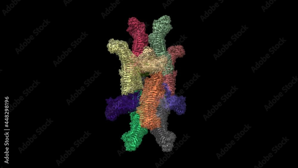 Helicobacter pylori Vacuolating Cytotoxin A Oligomeric Assemblies 2a-e ...