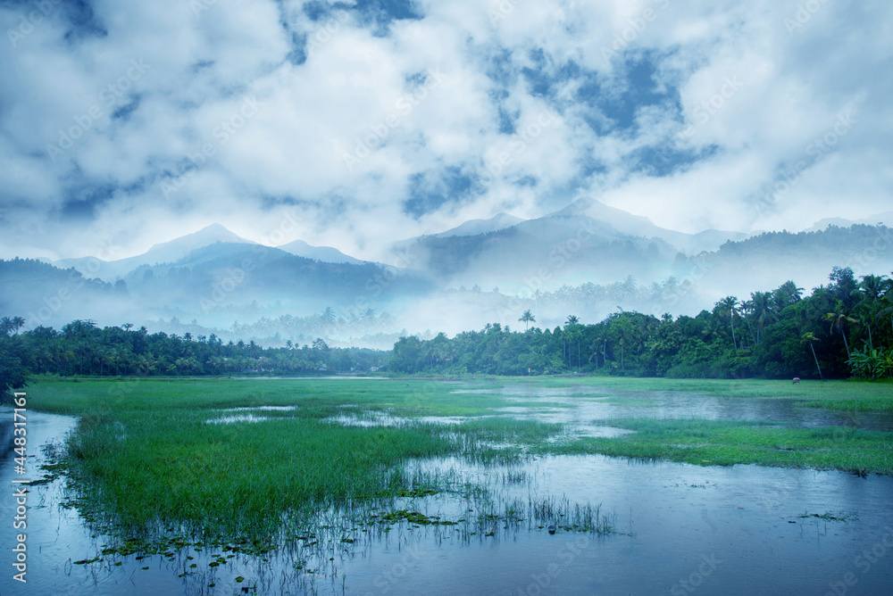 Beautiful nature landscape photography with white cloudy sky, A lot of ...