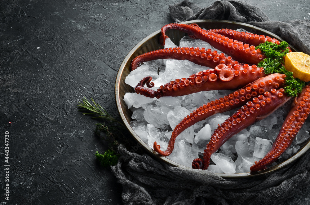 Octopus tentacles on ice. Seafood. Top view. Flat lay. Stock Photo ...