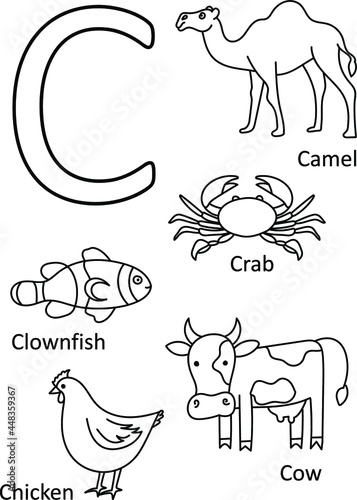C animals names, Alphabet coloring for kids, Alphabet animals coloring ...