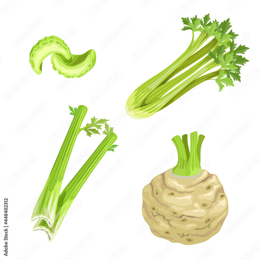 Cartoon Celery