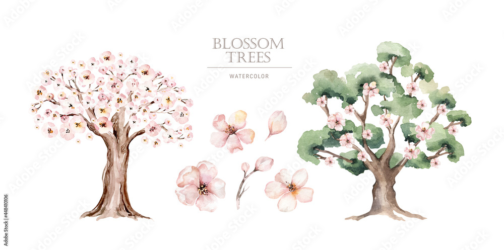 Watercolor Genealogical blossom cherry Family tree. Watercolor children ...