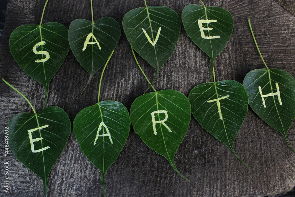 World environment day. World Earth day concept. Handprint as Green leaf ...