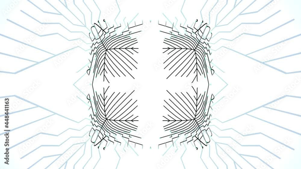 Vidéo Stock 4k abstract black wireframe on white bg branches of ...