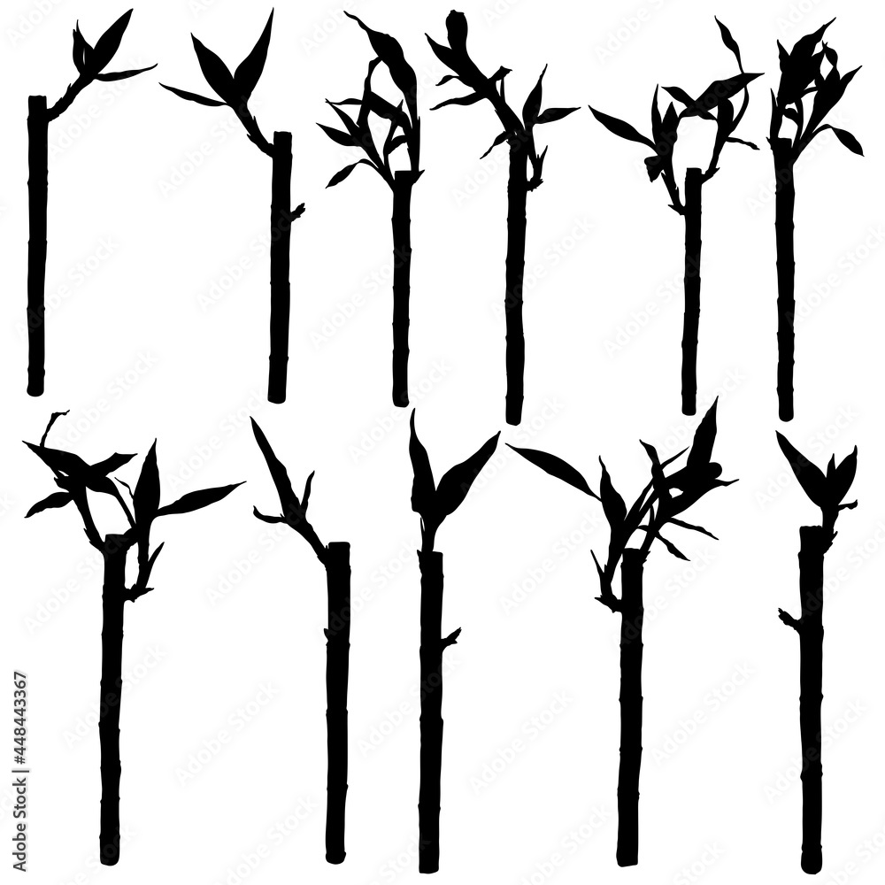 Traditional Japanese Bamboo Designs